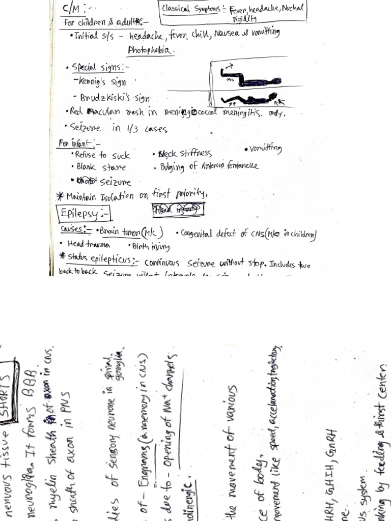 My Notes 3 | PDF