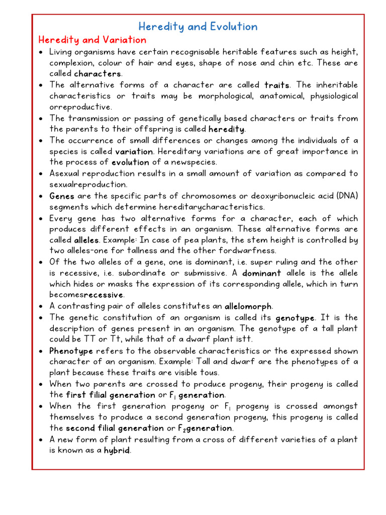 Heredity and Evolution Explained | PDF | Genotype | Heredity