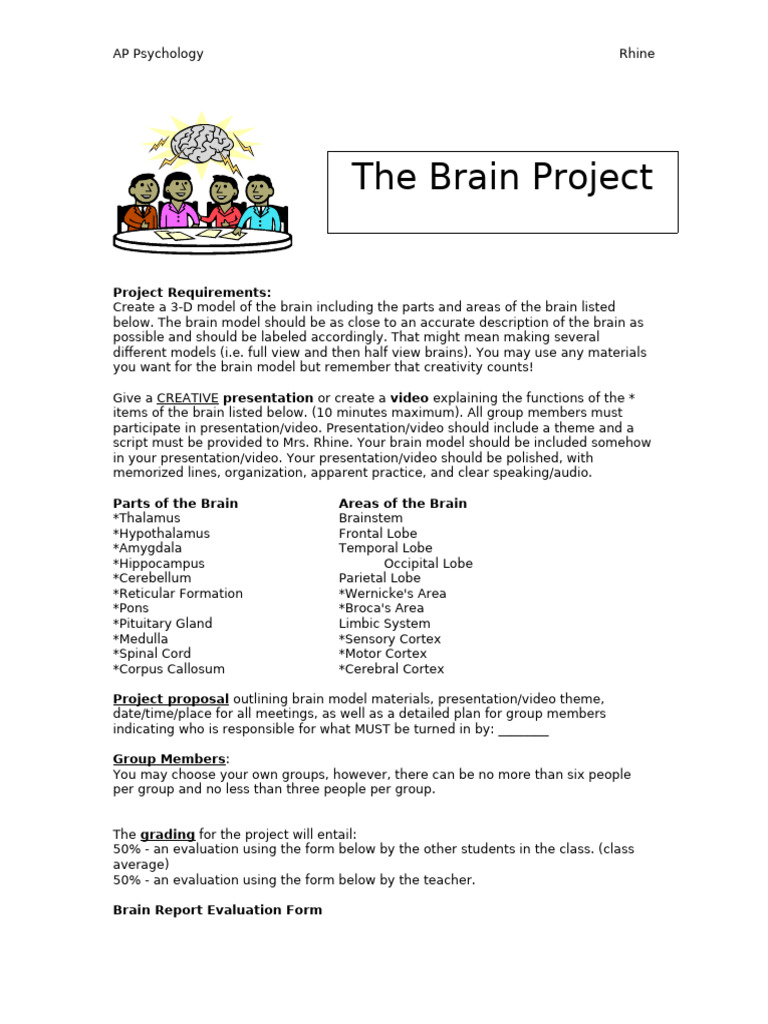 AP Psychology Brain Model Project Guide | PDF | Brain | Neuroscience