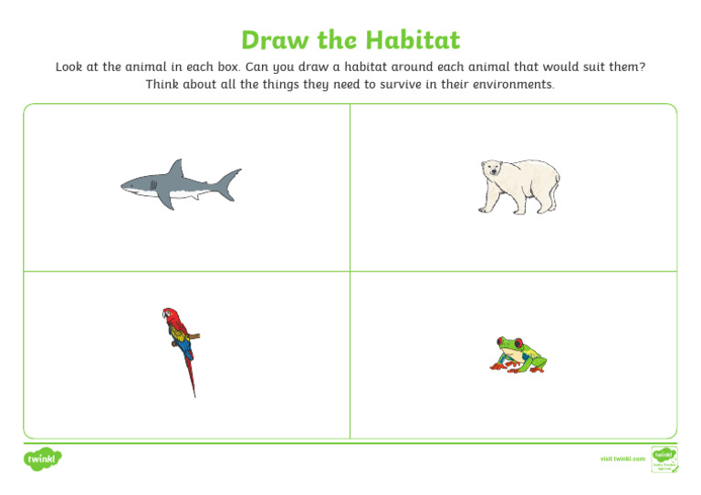 T SC 1667905982 Draw The Habitat Activity Sheet Ver 1 | PDF