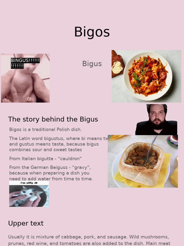 bingus!!!1!111!!!!!!! | PDF