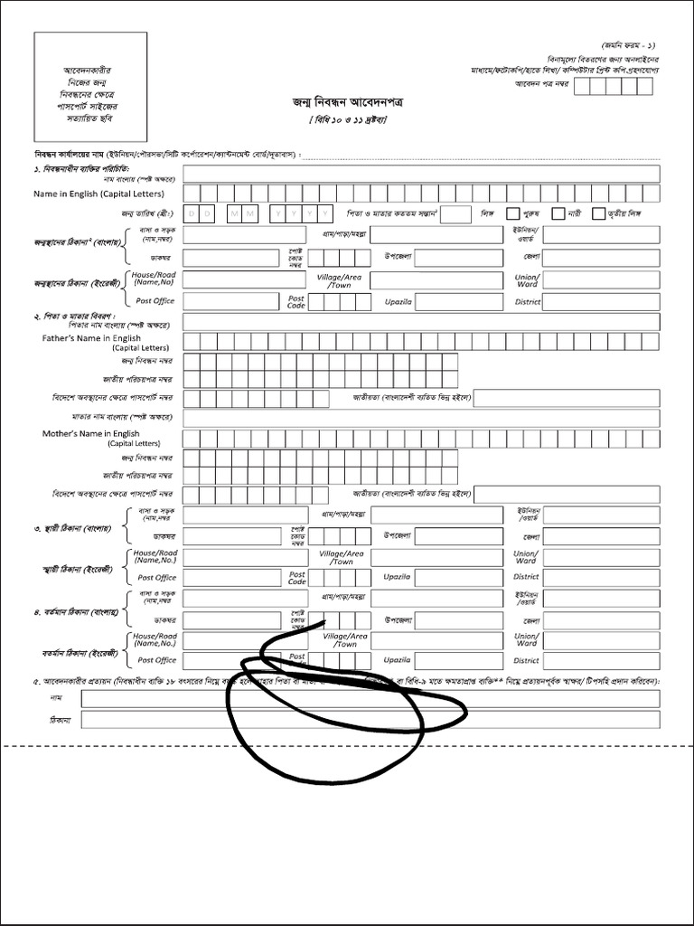Birth Registration Form | PDF