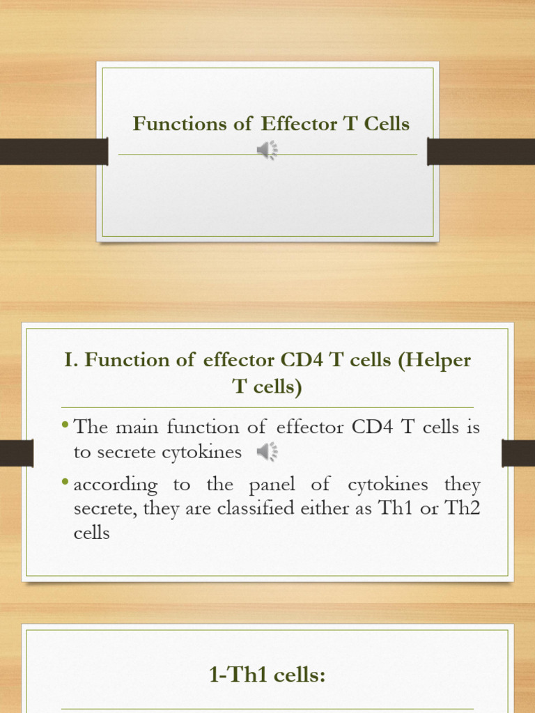 Functions of Effector T Cells Explained | PDF | T Helper Cell | T Cell