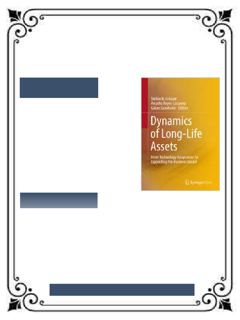 Dynamics of Long Life Assets From Technology Adaptation to Upgrading ...
