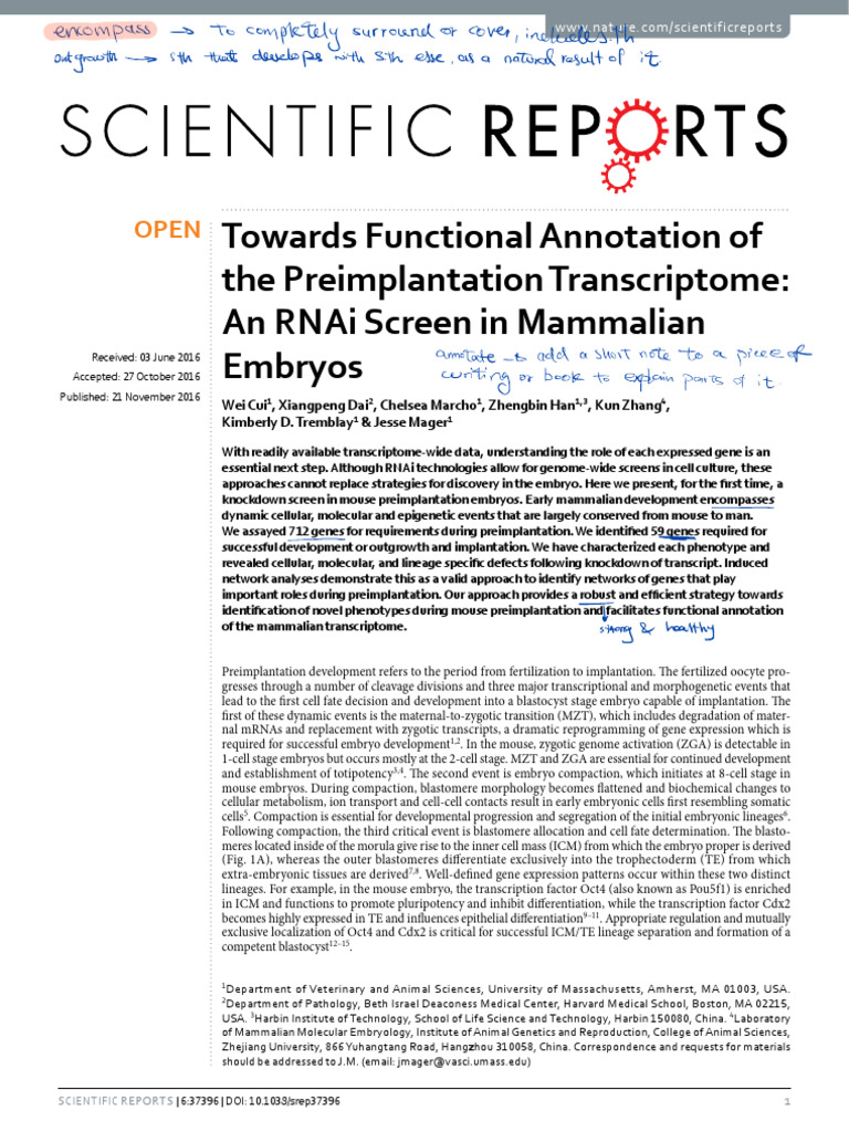 RNAi Screen for Mouse Embryo Genes | PDF | Biology | Biological Processes