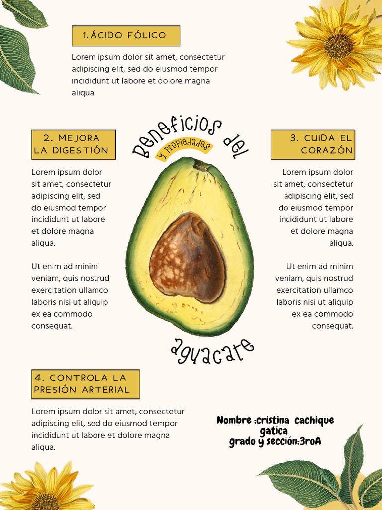 Documento A4 Beneficios Del Aguacate, Estilo Infografía e Ilustración ...