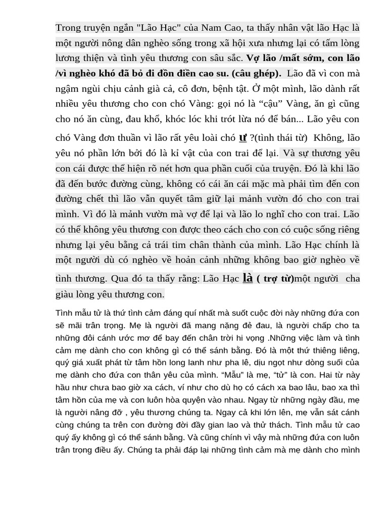 doan van ngan hk 1 | PDF