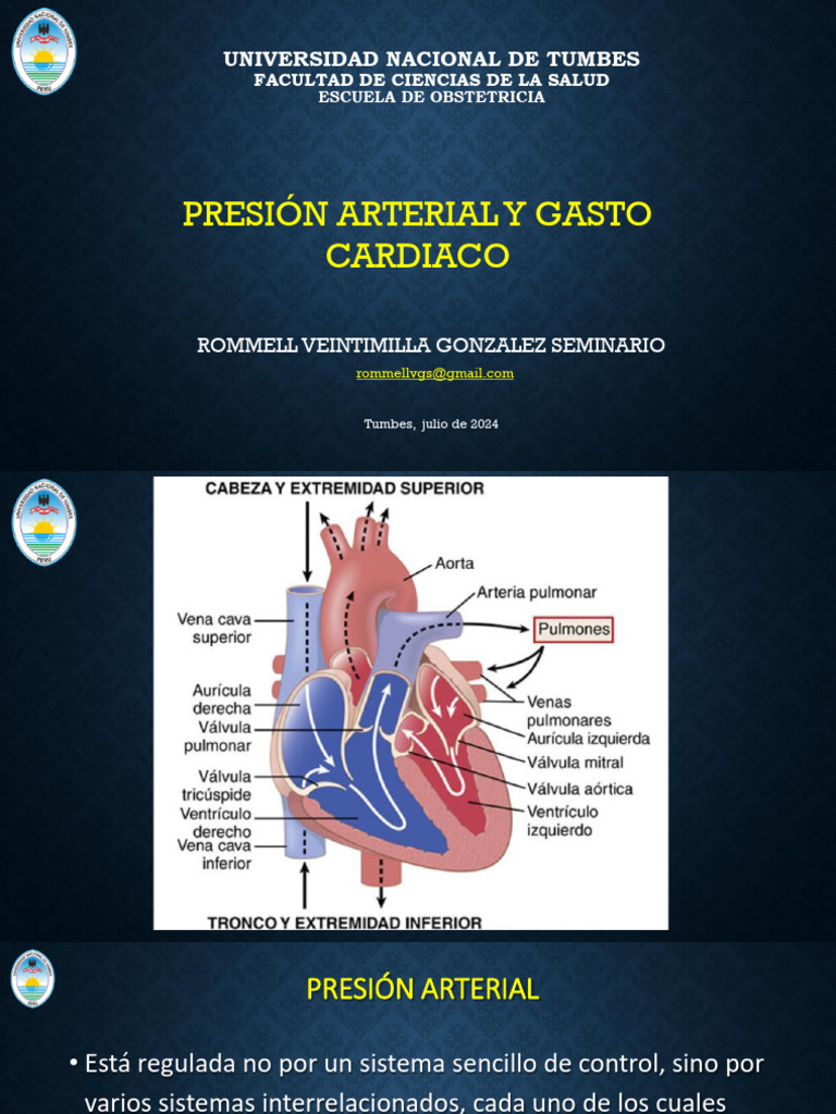 Presion Arterial y Gasto Cardiaco II - 7 | PDF | Corazón | Presión ...