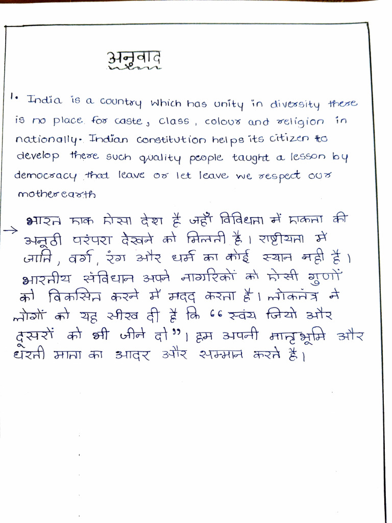 Hindi Assignment | PDF