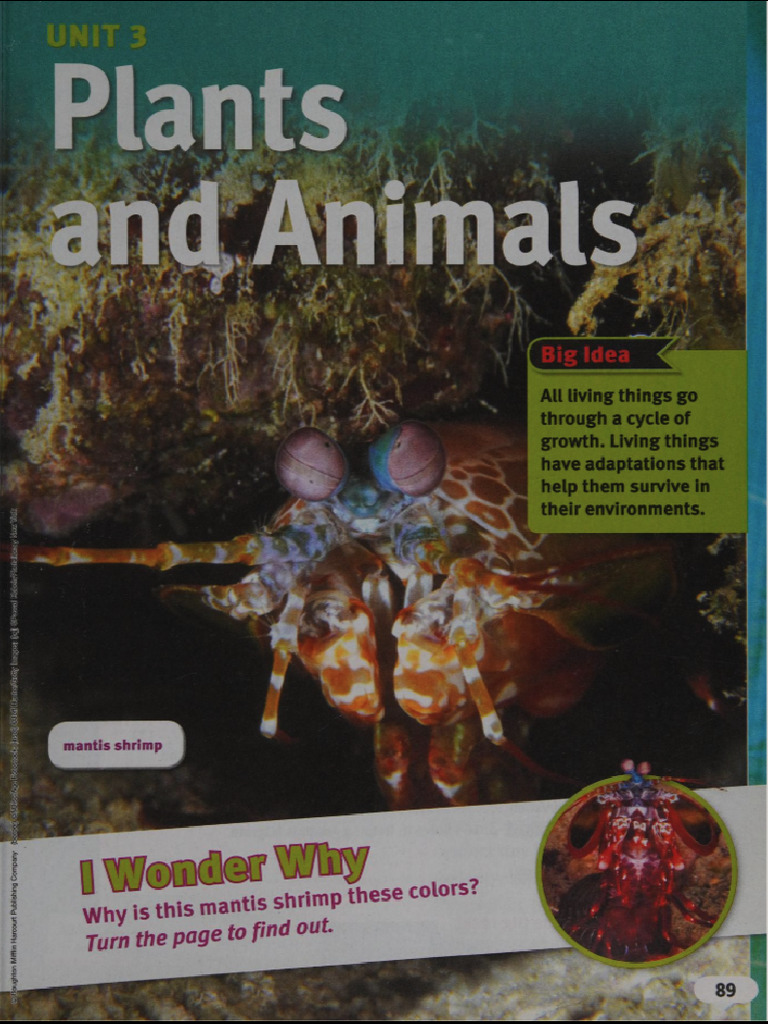 Science Fusion Unit 3 | PDF