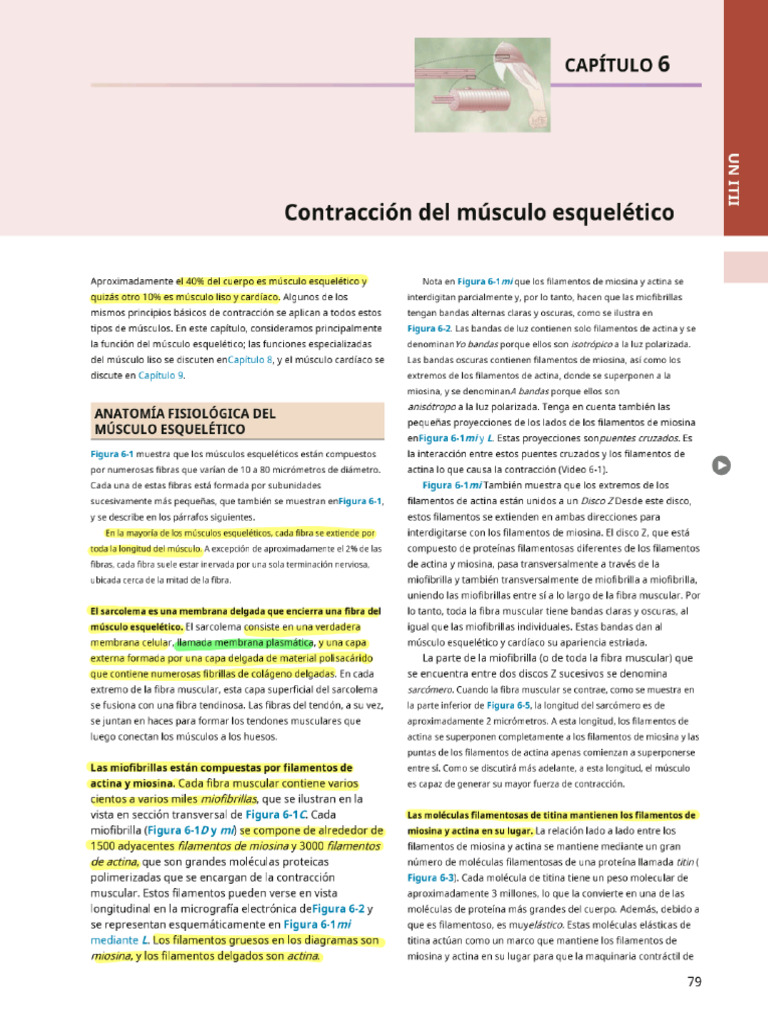 Fisiología Médica - Guyton y Hall 14a Ed | PDF