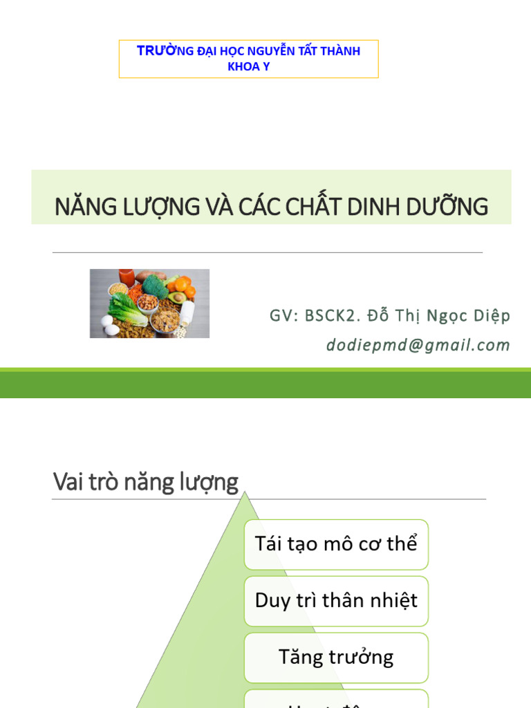 2.Bs Diep Nl Chat Dd | PDF