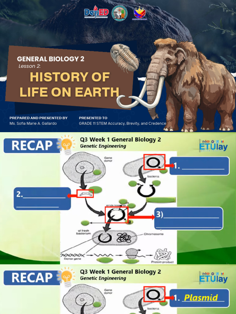 Lesson 2 History of Life On Earth | PDF