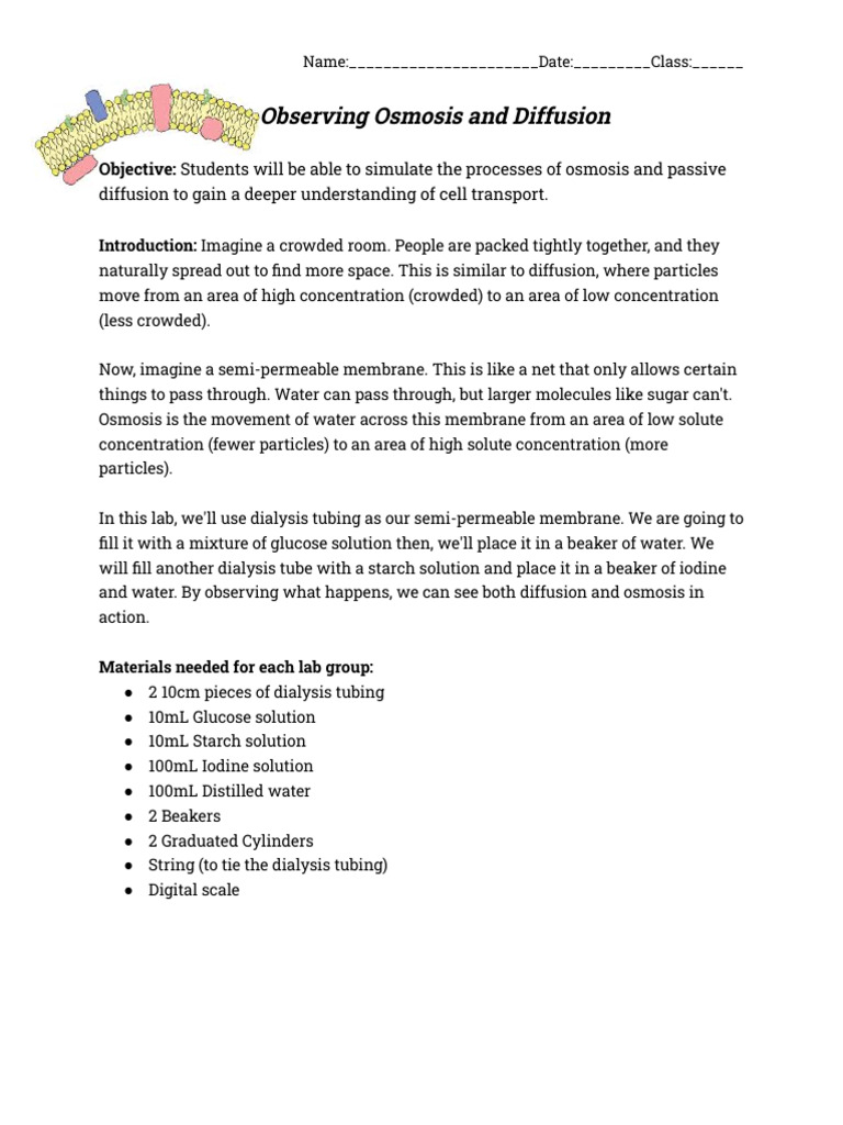 Osmosis and Diffusion Lab Experiment | PDF | Osmosis | Separation Processes