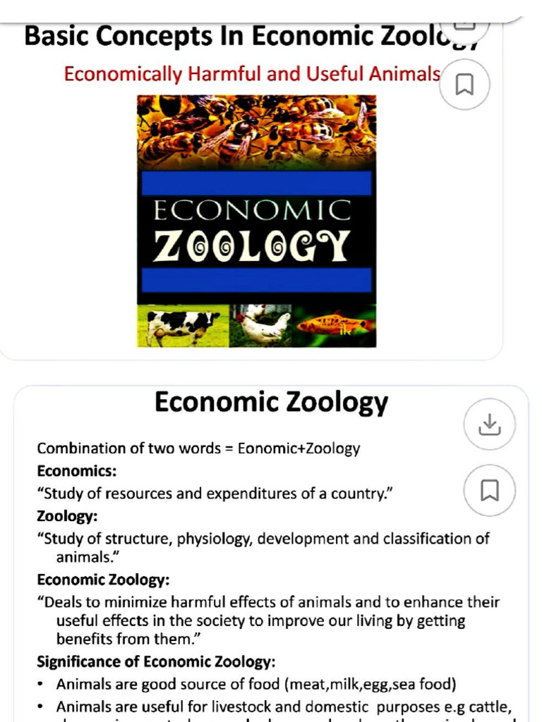 Economic Z Important | PDF