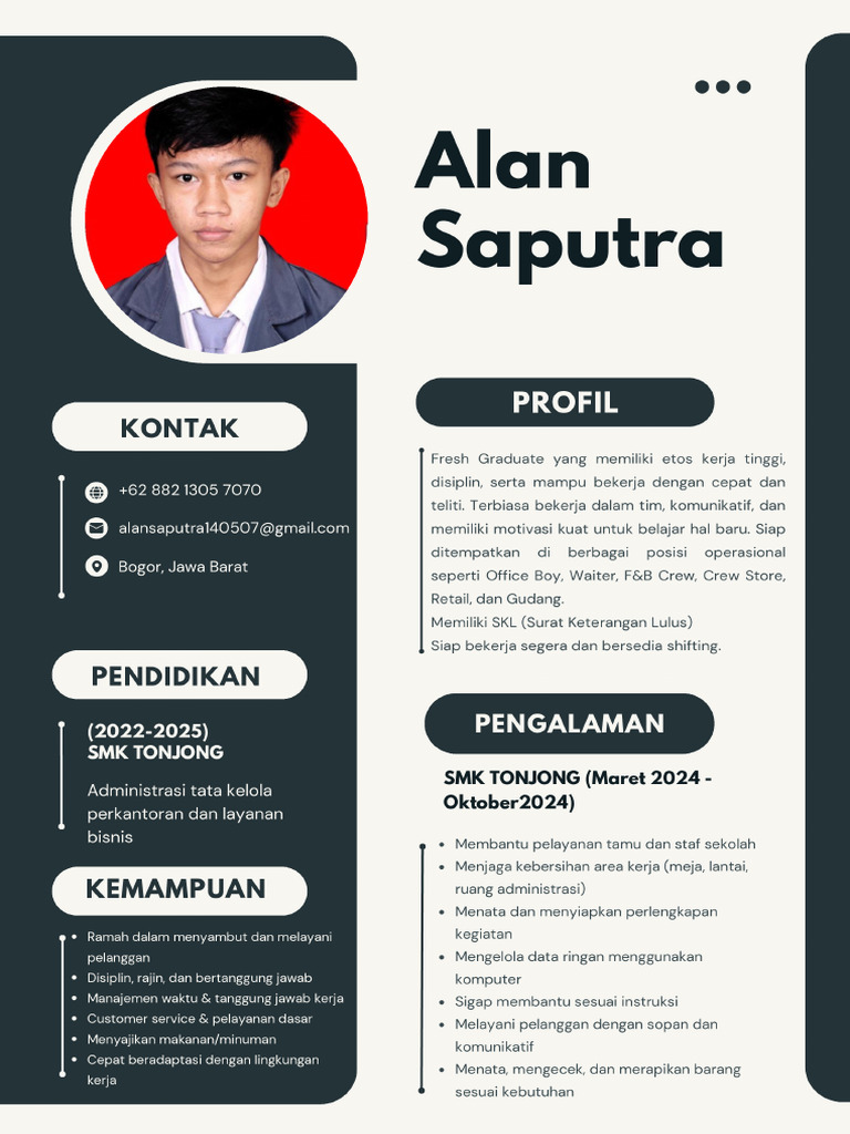 CV Alan | PDF