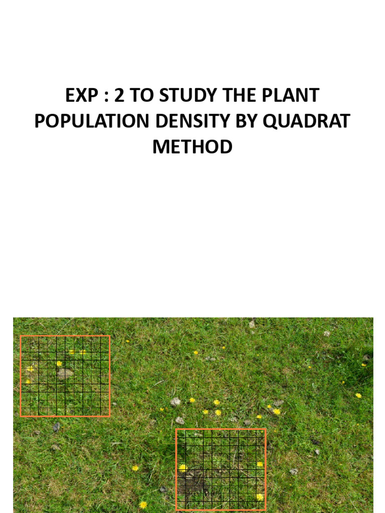 Plant Population and Genetics Experiments | PDF