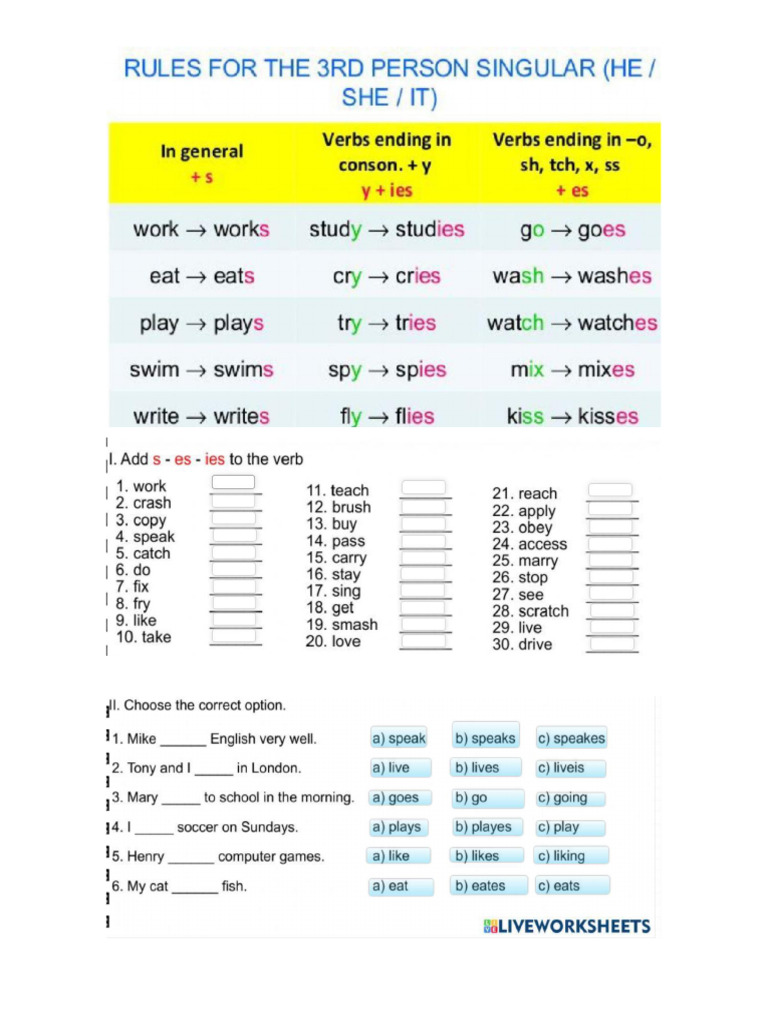 Worksheet 2 Present Simple Tense | PDF
