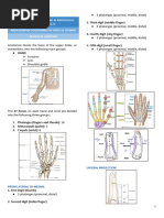 Hand X-Ray Projections Guide | PDF | Hand | Finger