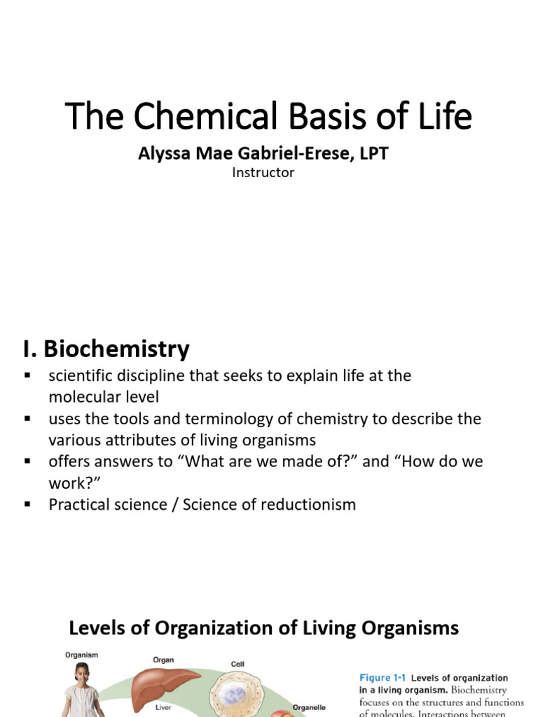 Chemical Basis of Life and Biomolecules | PDF | Gibbs Free Energy ...