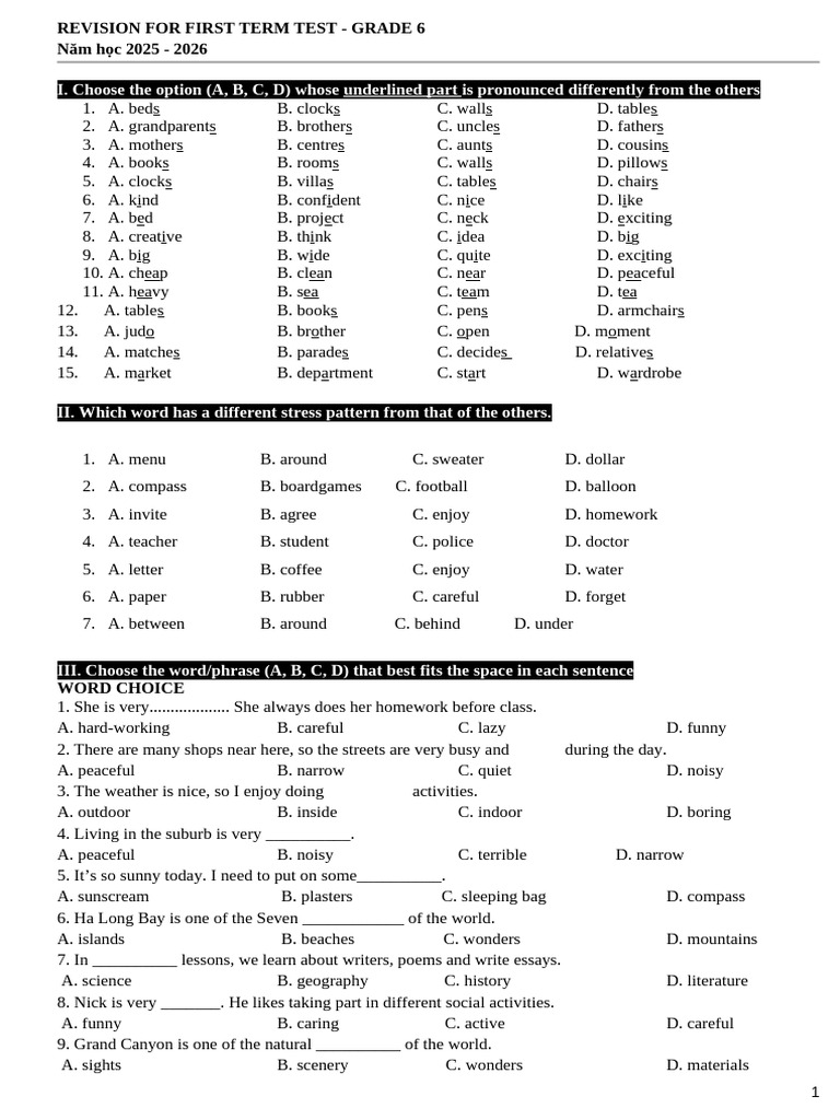 Revision for First Term Test - Grade 6 (1) | PDF