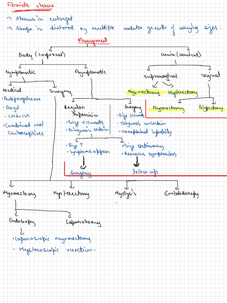 Uterine Fibroids | PDF | Mammal Female Reproductive System ...