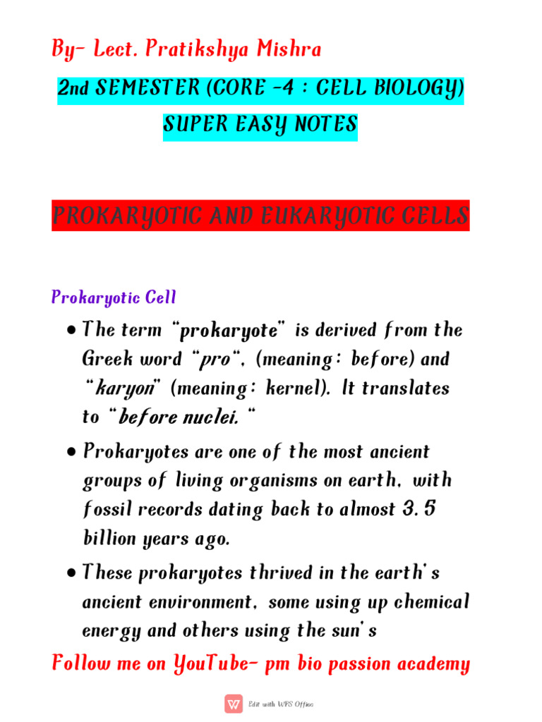 Prokaryotic vs Eukaryotic Cells Explained | PDF