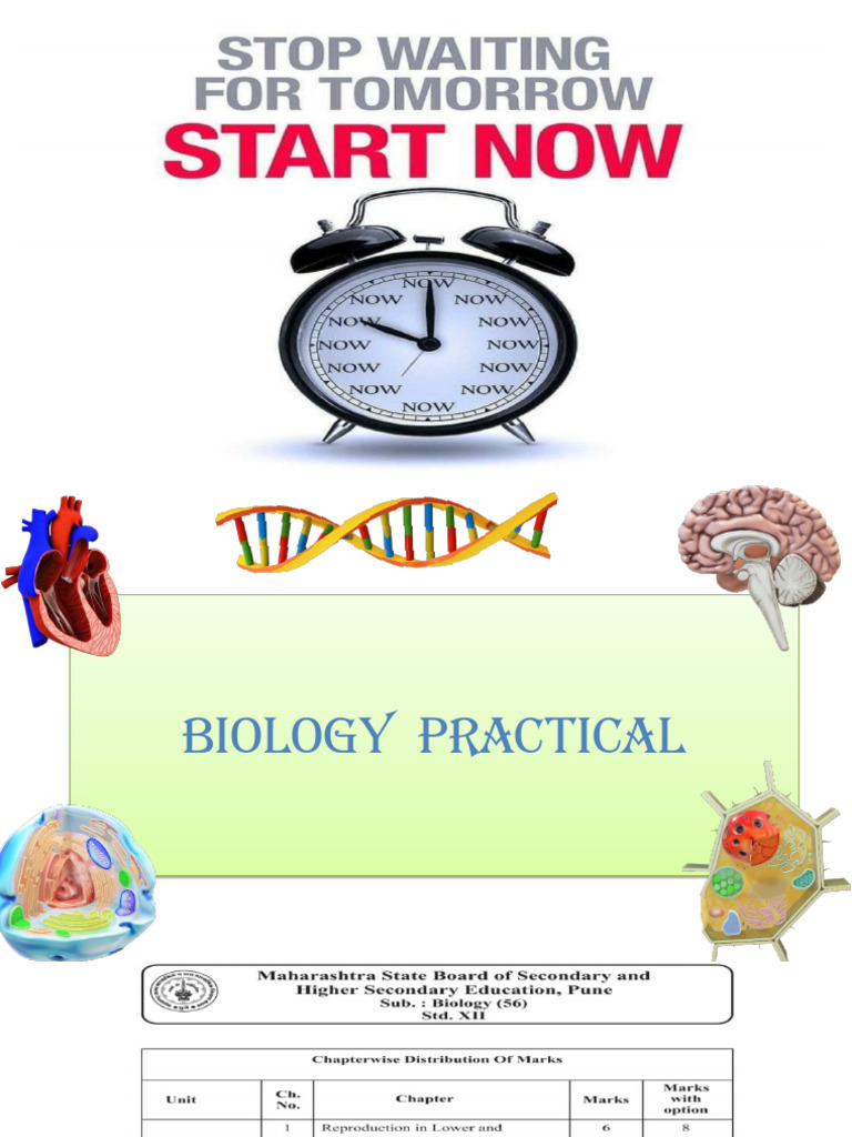 S.Y.J.C Practical Ppt 2025-2026.Pptx | PDF | Dominance (Genetics) | Zygosity