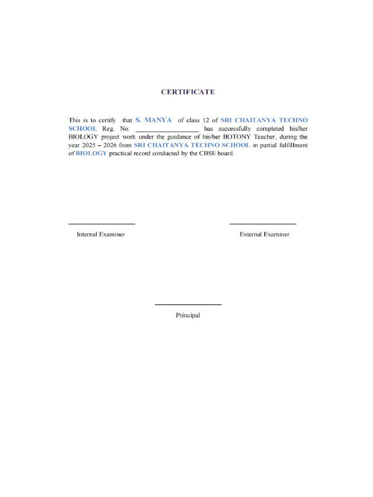 Human Embryo Development | PDF