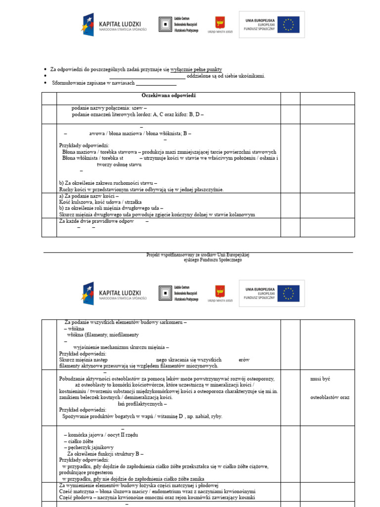 Odp 4 | PDF