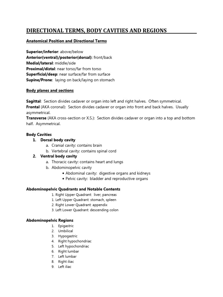 Anatomical Directional Terms & Cavities | PDF