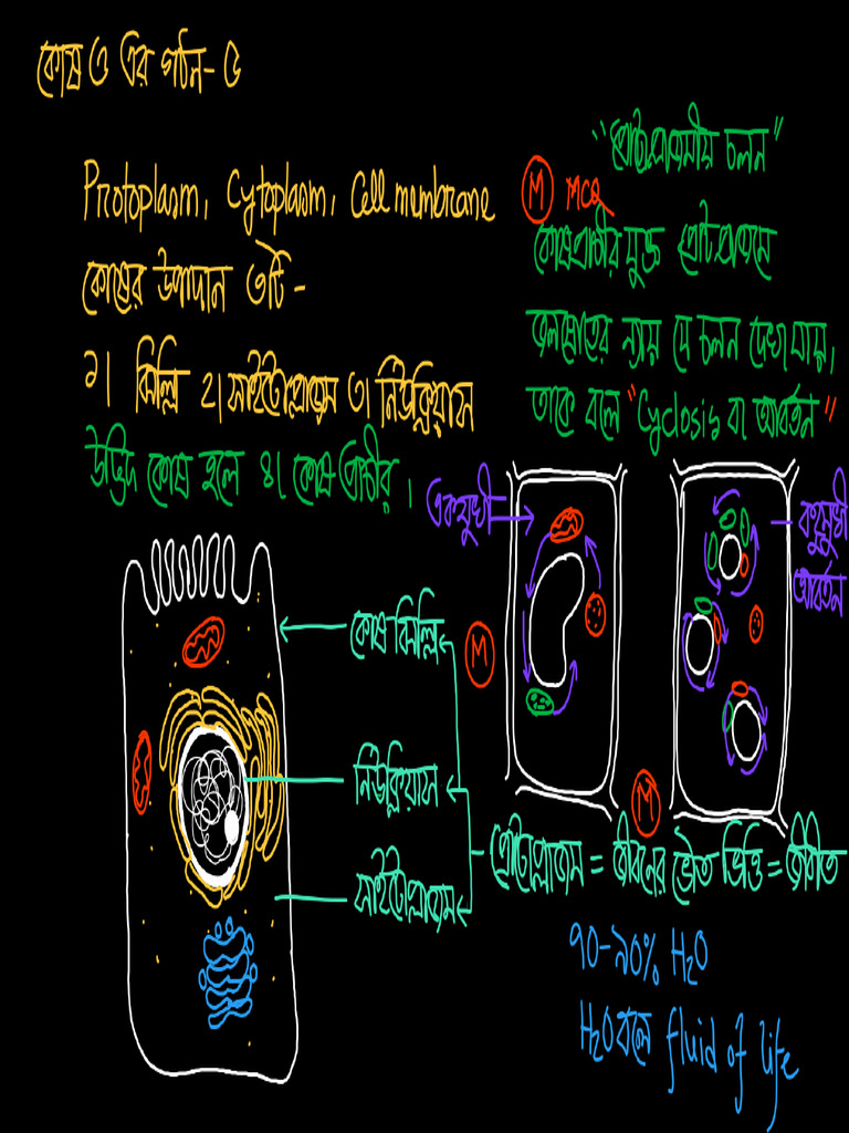 Cell and Structure Note 5 | PDF