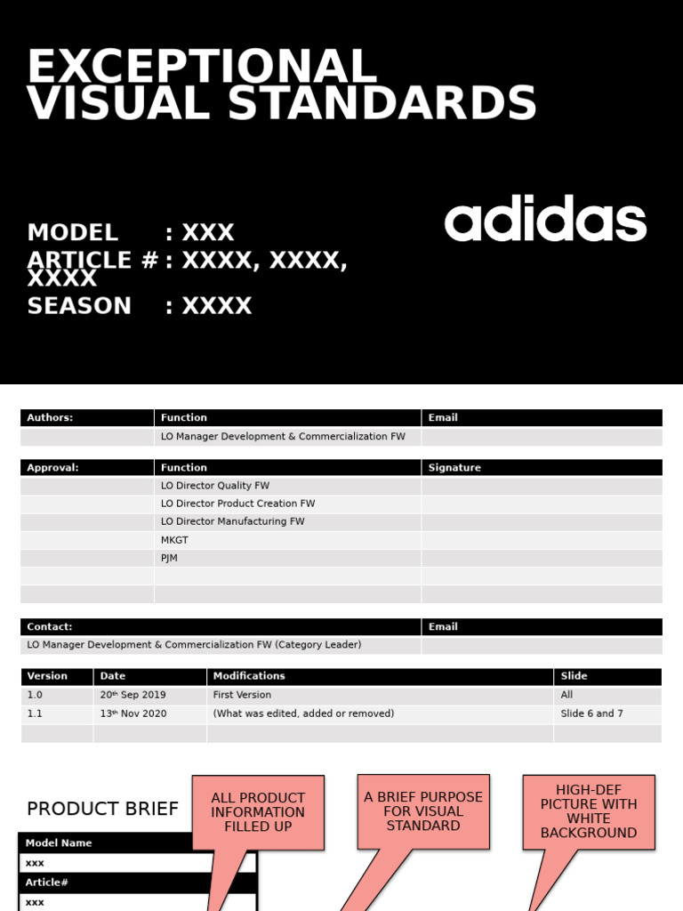 Template_ Visual Standards 20201113 | PDF