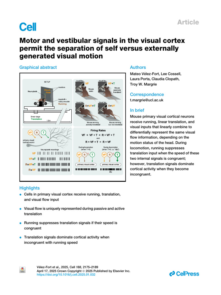 Motor and Vestibular Signals in the Visual Cortex Permit the Separat ...