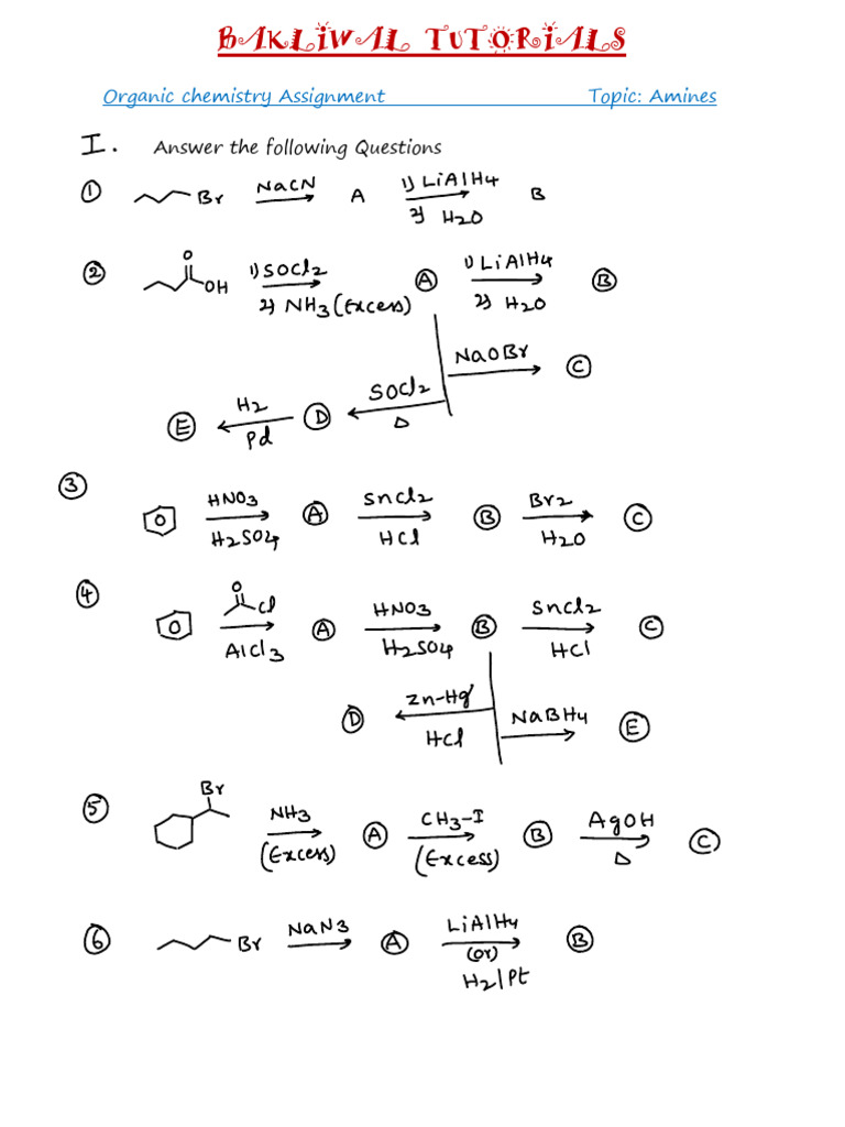 Amines Assignment Solutions Guide | PDF