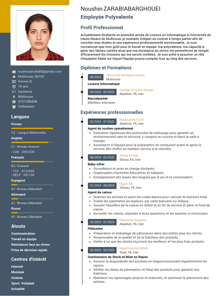 CV Noushin Zarabiabarghouei | PDF