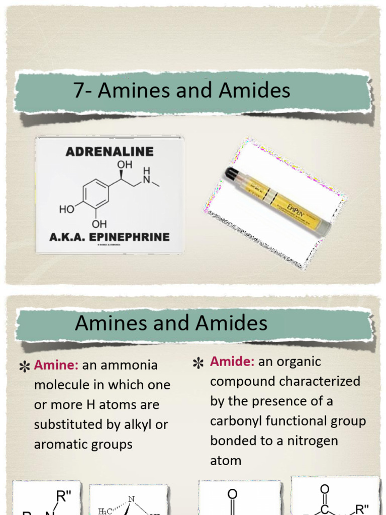 7L-Amines and Amides | PDF | Amine | Amide