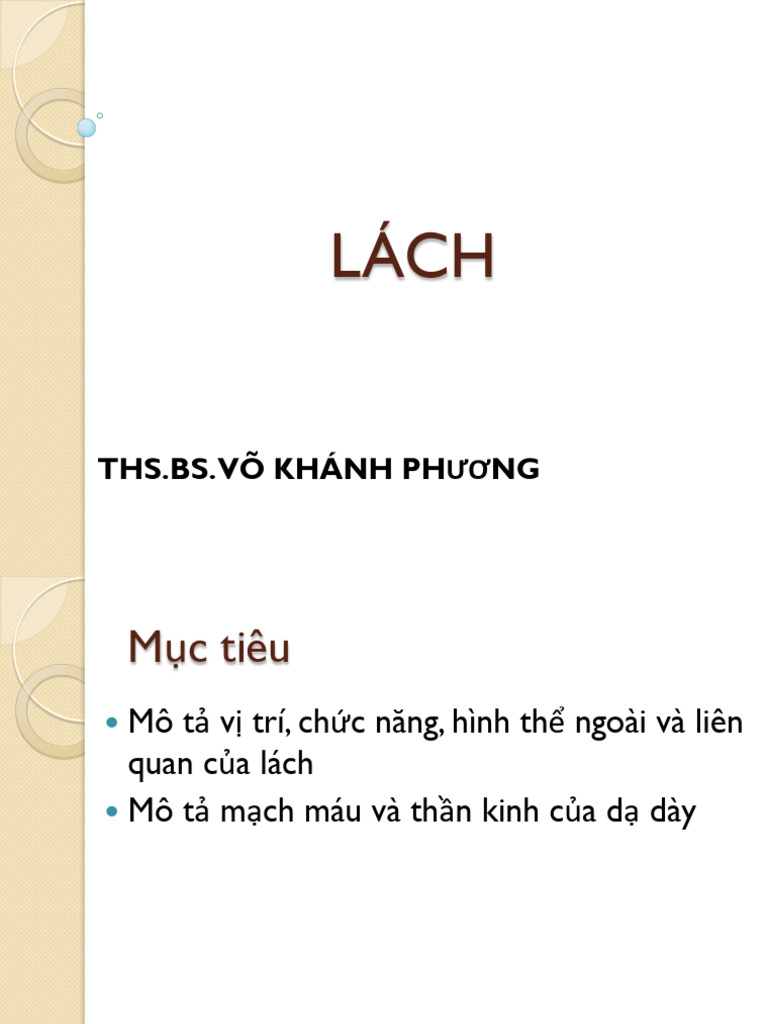 Lách | PDF