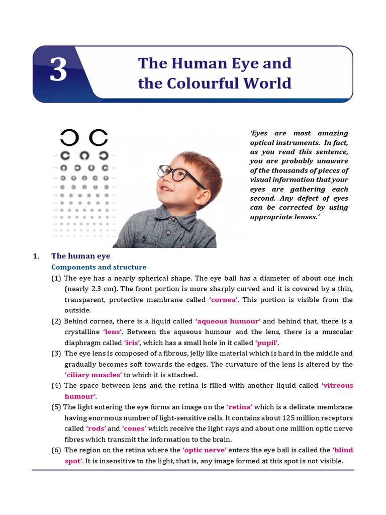 Anatomy and Function of the Human Eye | PDF | Eye | Sunset