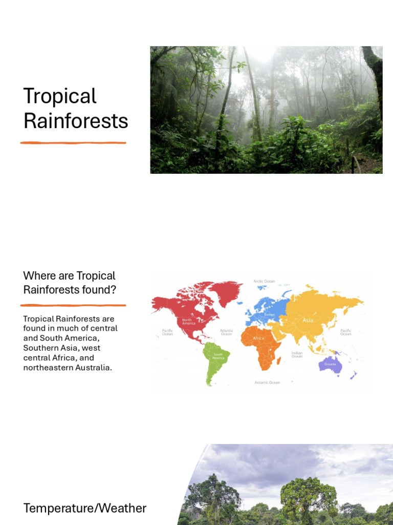 Tropical Rainforest | PDF