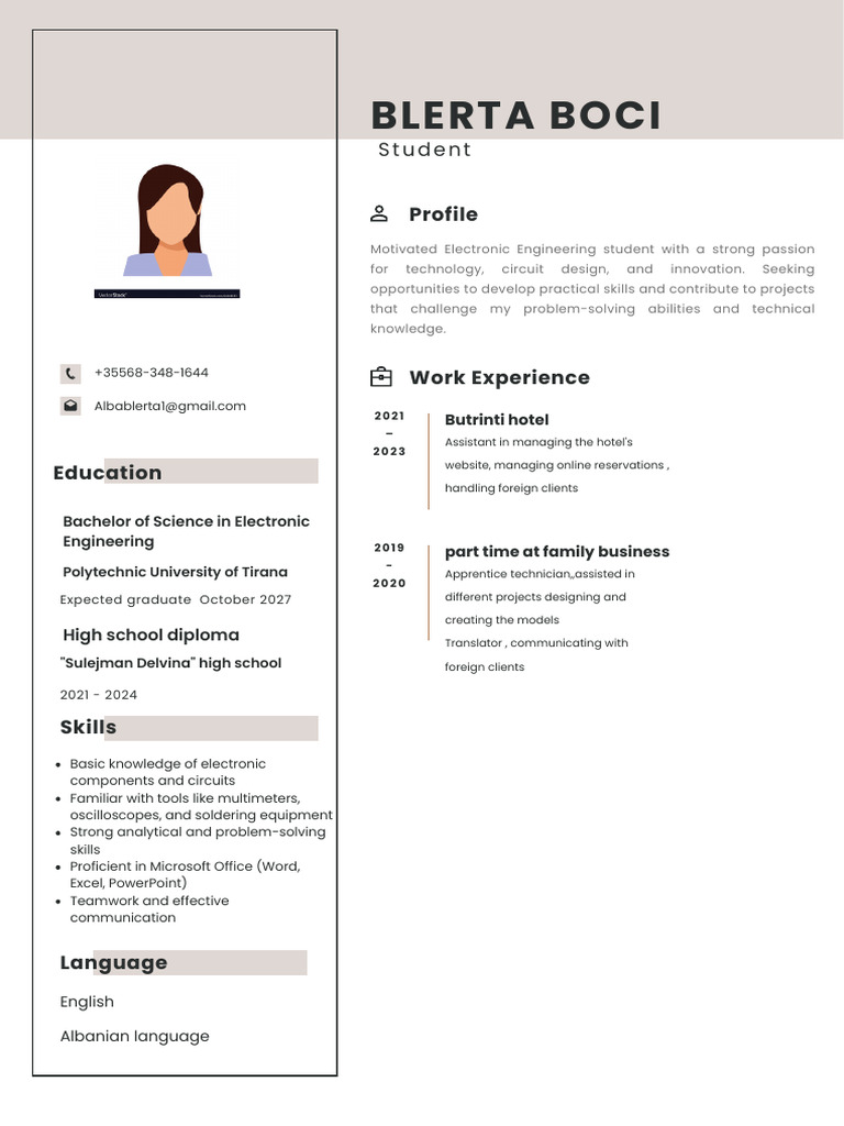 Electronic Engineering Student Profile | PDF
