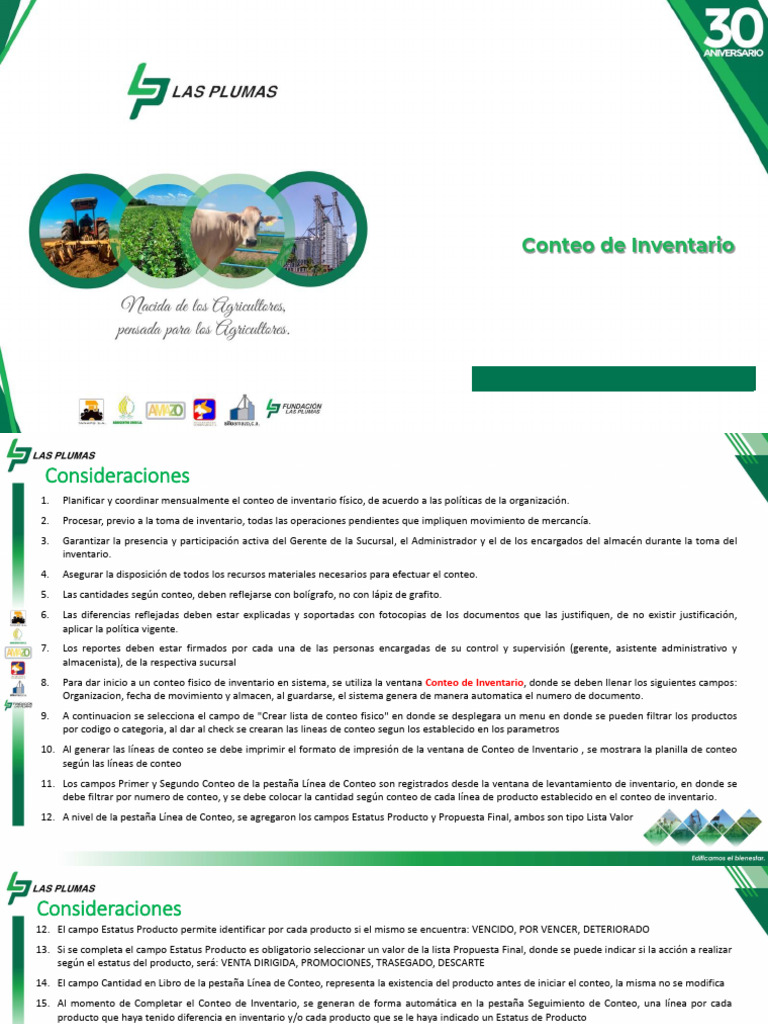 Guía Completa para Conteo de Inventario | PDF | Almacén
