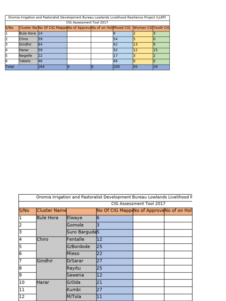 Oromia CIG Assessment Tool 2017 | PDF