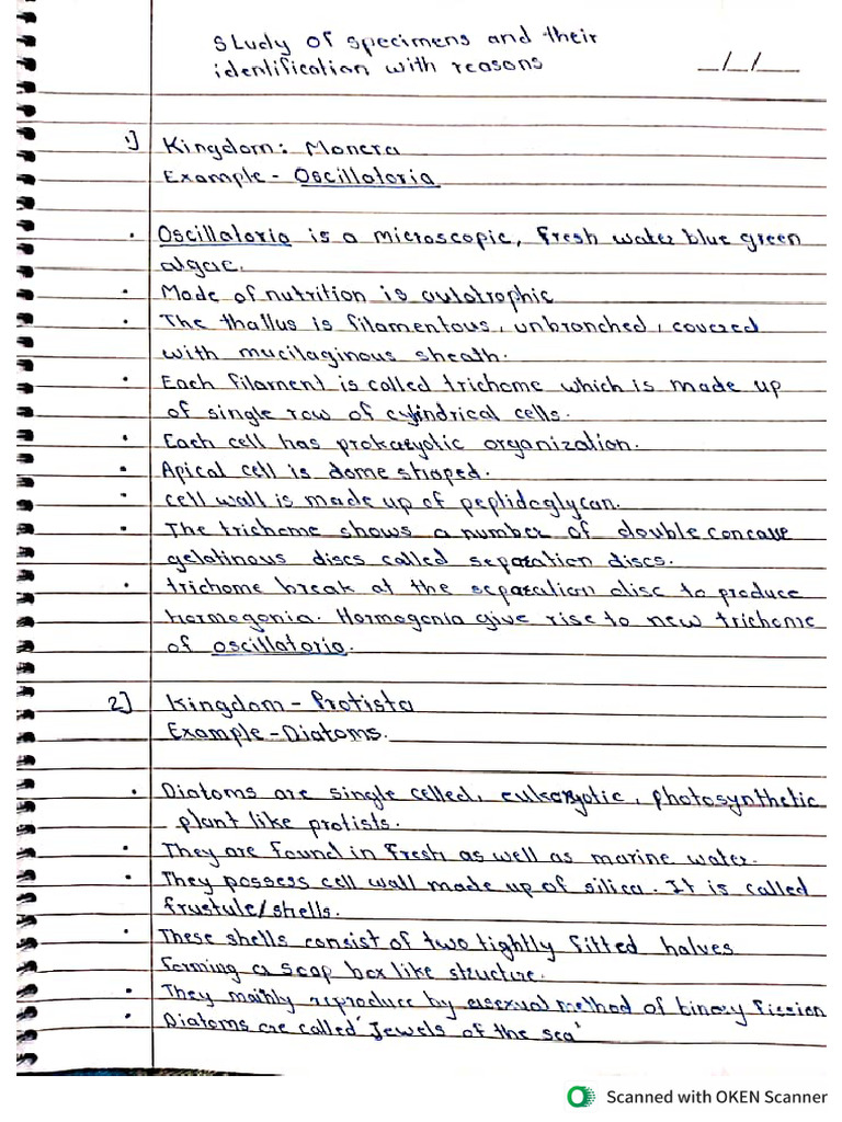 Study of Specimens and Identification With Reasons (1) | PDF