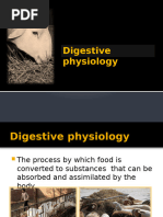 Ruminant Digestion and Nutrition Insights | PDF | Ruminant | Digestion