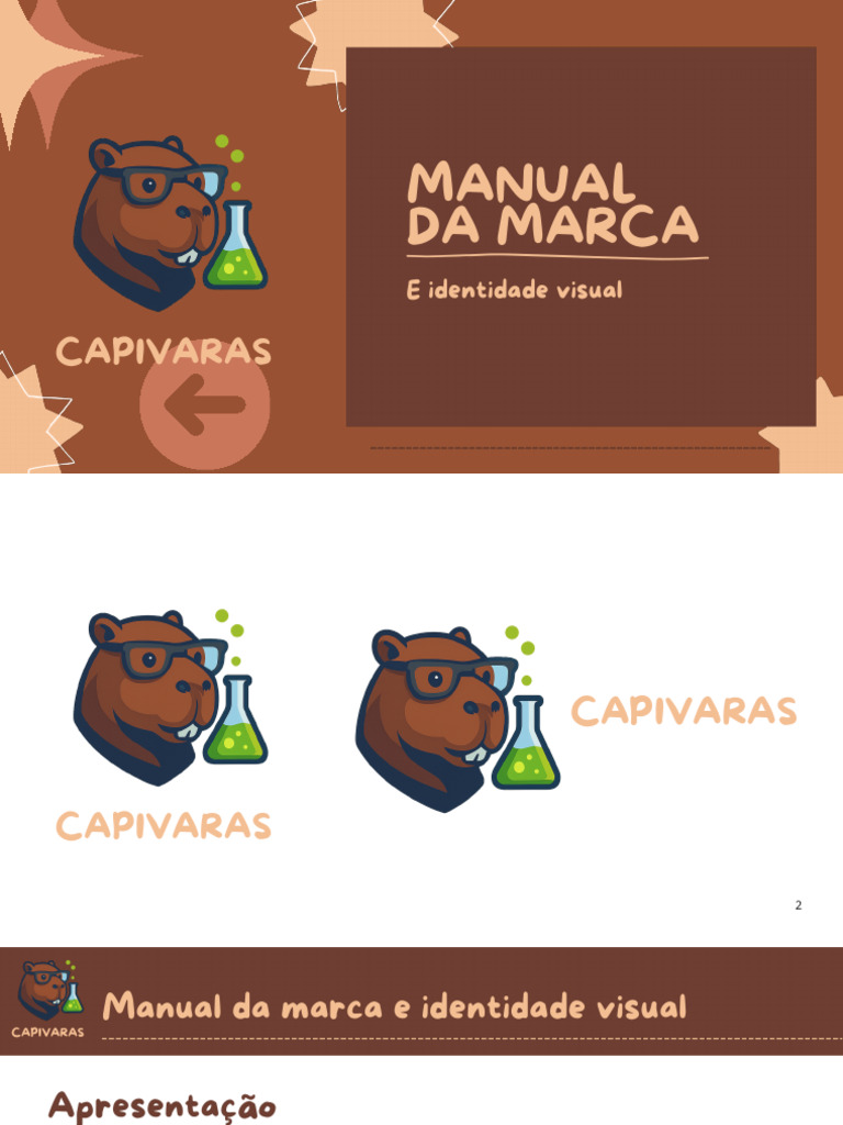 Capivaras™ Manual da marca e identidade visual.pdf_20251124_121221_0000 ...