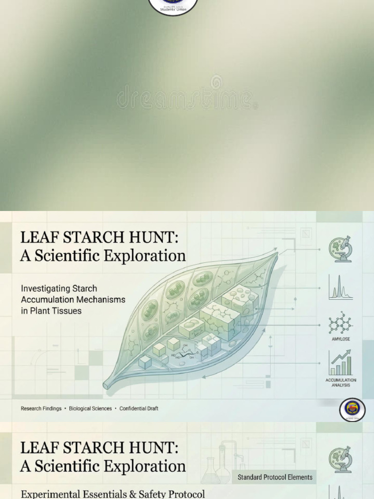 Testing a Leaf for the Presence of Starch | PDF