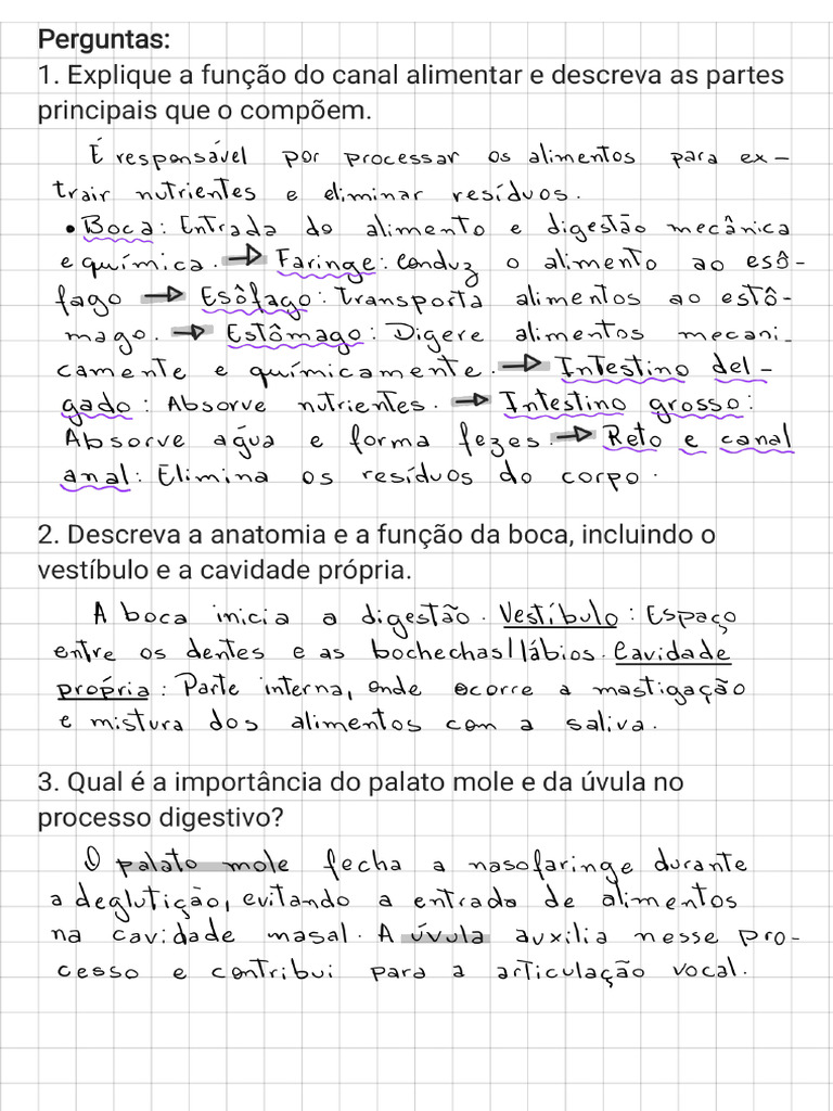 Sistema digestório atividade _241204_081822 | PDF