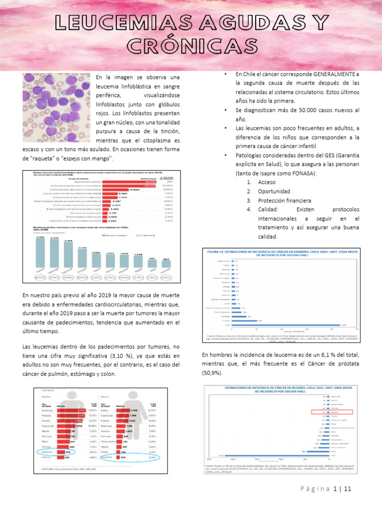 Clase 2 - Leucemias Agudas y Crónicas | PDF | Leucemia | Cáncer