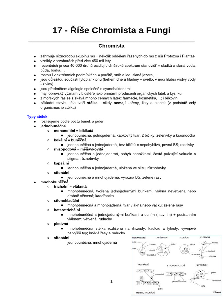 17 - Rise Chromista a Fungi | PDF